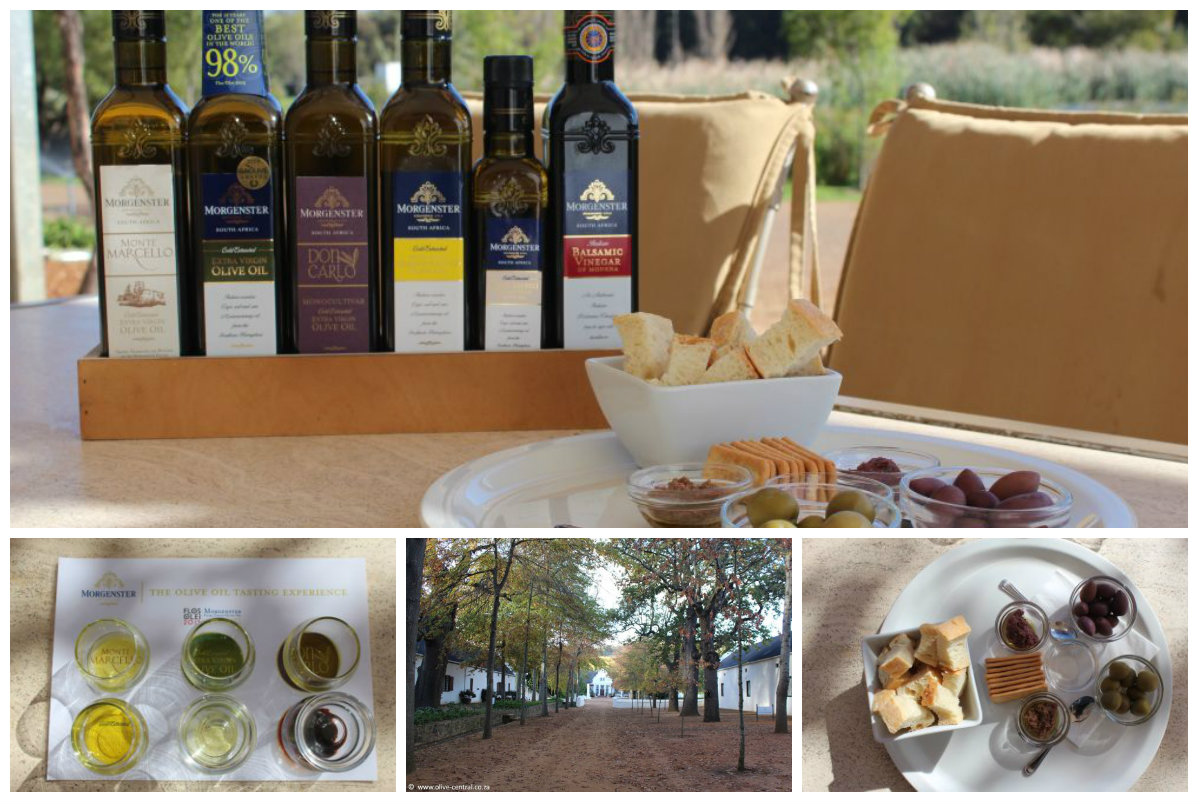 Top 5 Olive Oil Tasting Experiences In The Western Cape - Olive Central