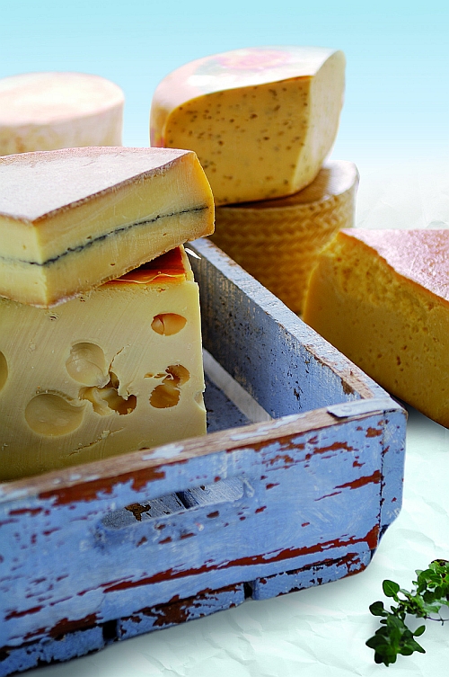 South African Cheese Festival 30 April - 2 May - Olive Central